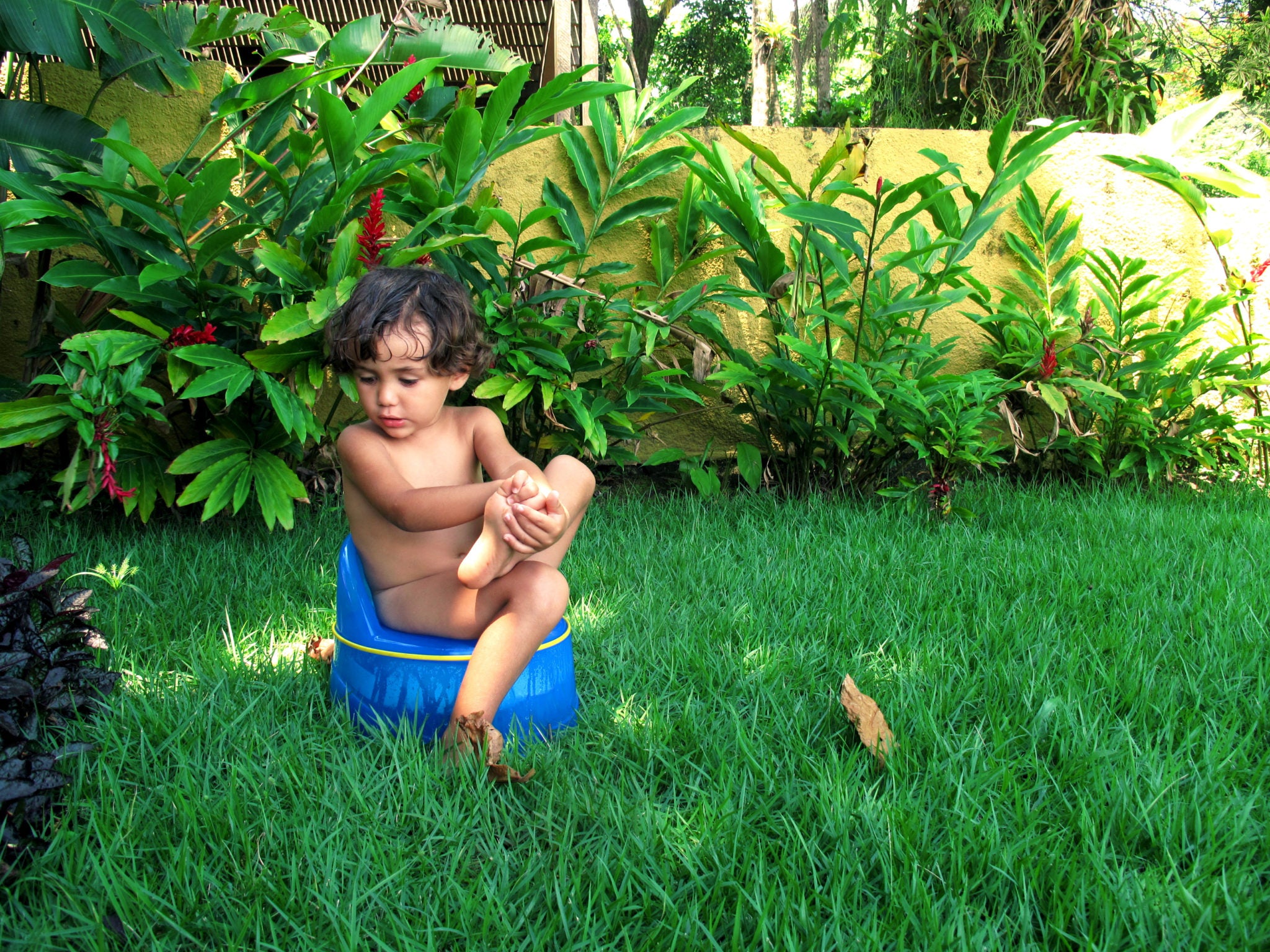 4 Potty Training Myths Potty Genius 4 Potty Training Myths Potty Genius