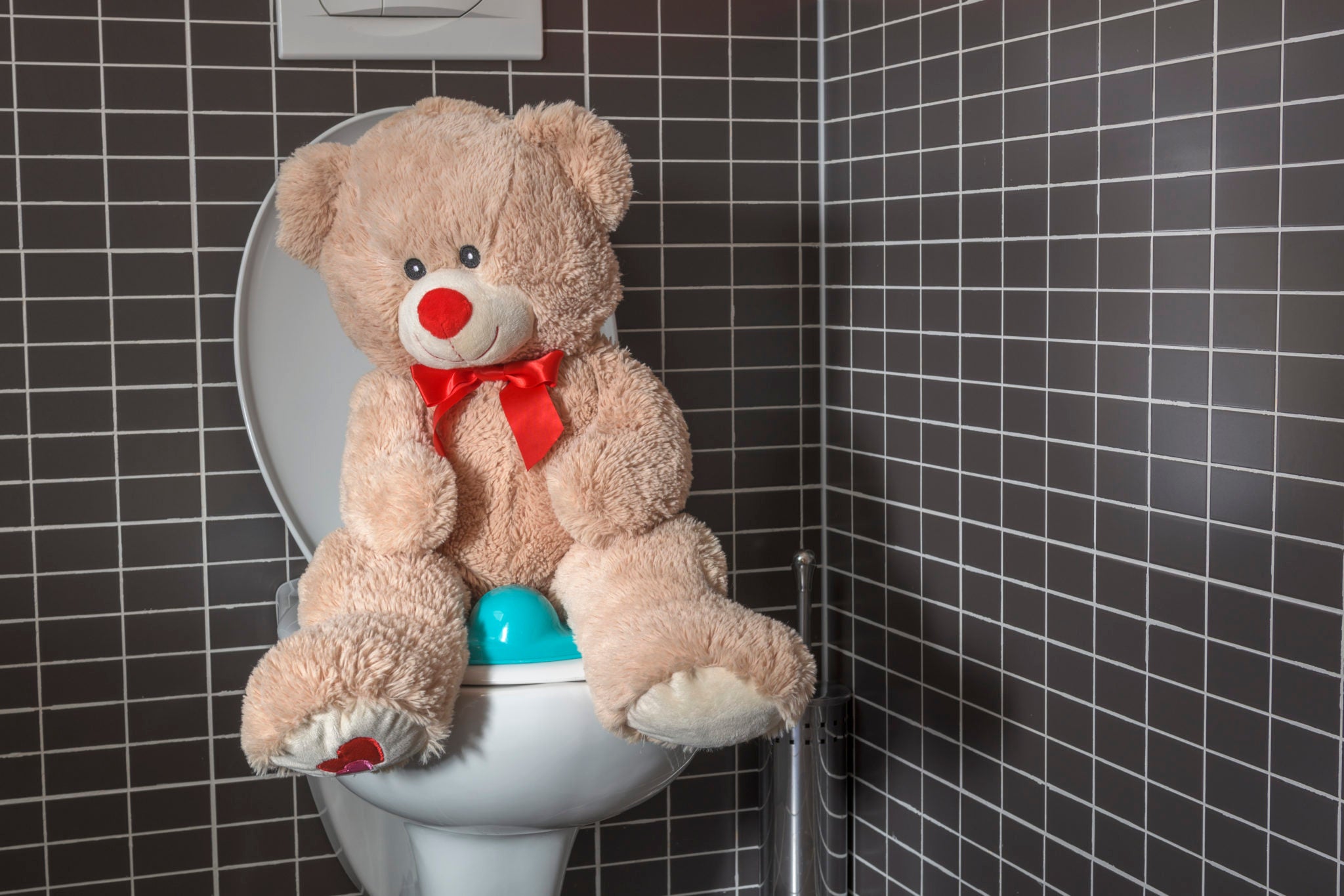 Adult to Adult: What Potty Training Is Really Like – Potty Genius